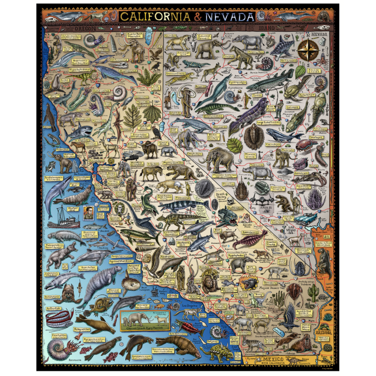 Fossil Maps - Troll Art