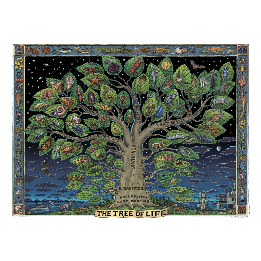 Tree Of Life Posters