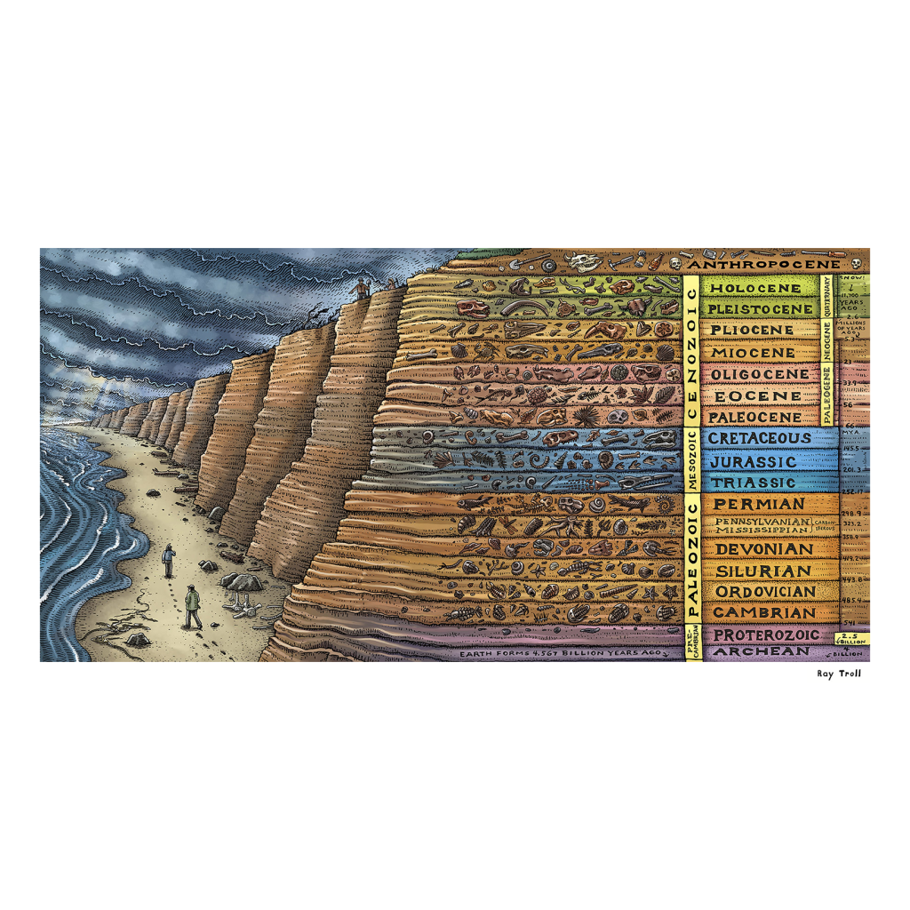 FOSSIL COASTLINE STRAT COLUMN FINE ART POSTER - Troll Art