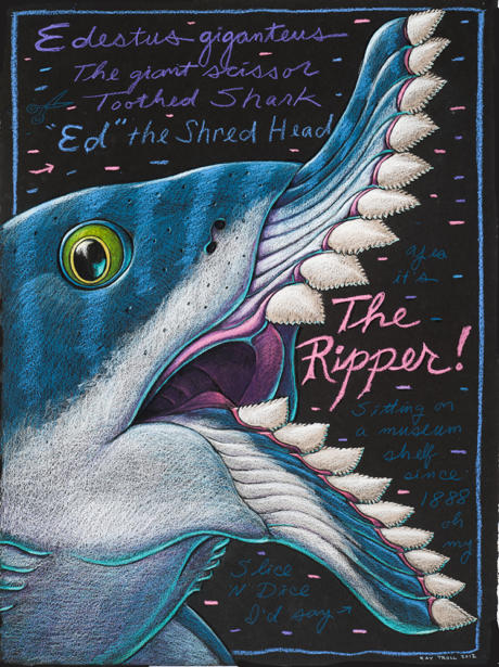 Ray Troll Art | Art inpired by the weird and wonderful world of Sharks!