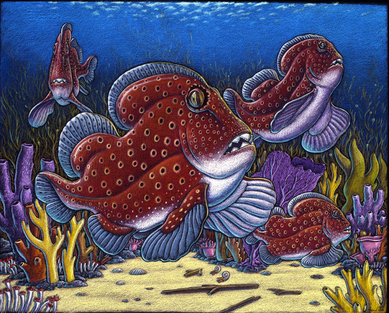 Ray Troll Art | Art inpired by the weird and wonderful world of Sharks!