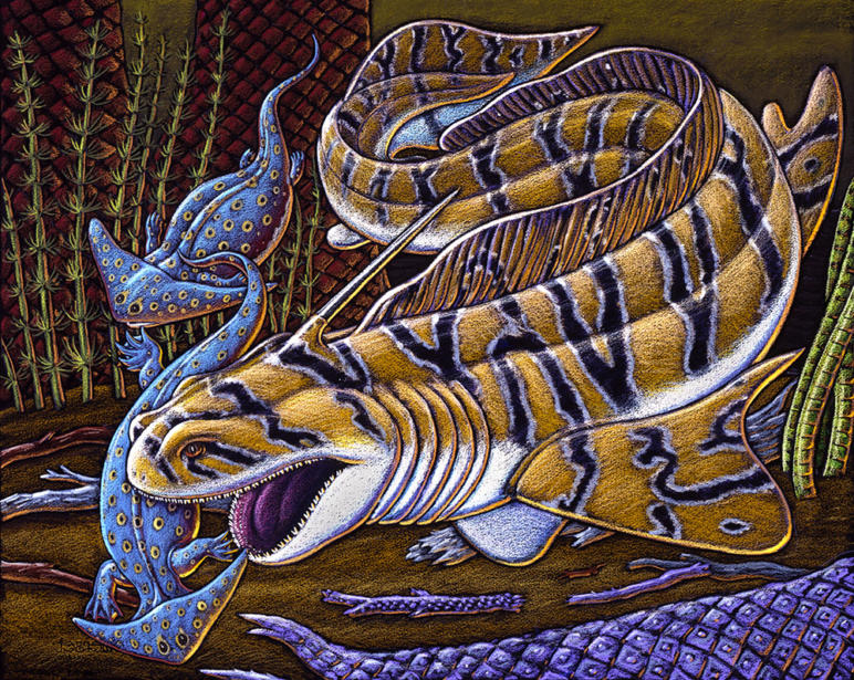 Ray Troll Art | Art inpired by the weird and wonderful world of Sharks!